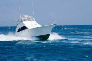 Fishing Charters Perth & Throughout Western Australia | WA Fishing