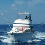 Fishing Charters Perth & Throughout Western Australia | WA Fishing